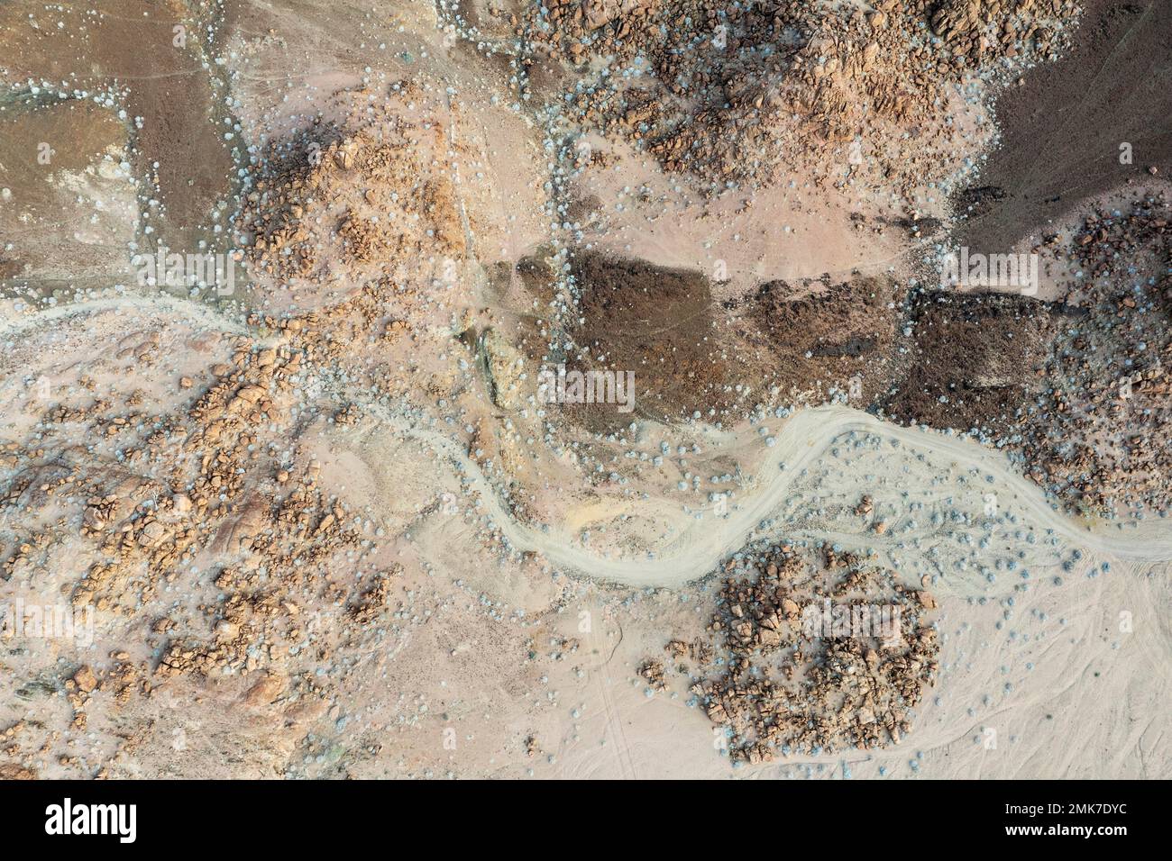 Dried up rivers after years of drought, overgrown with resistant shrubs ...