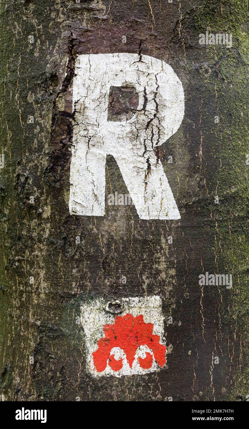 R a marking hi-res stock photography and images - Alamy