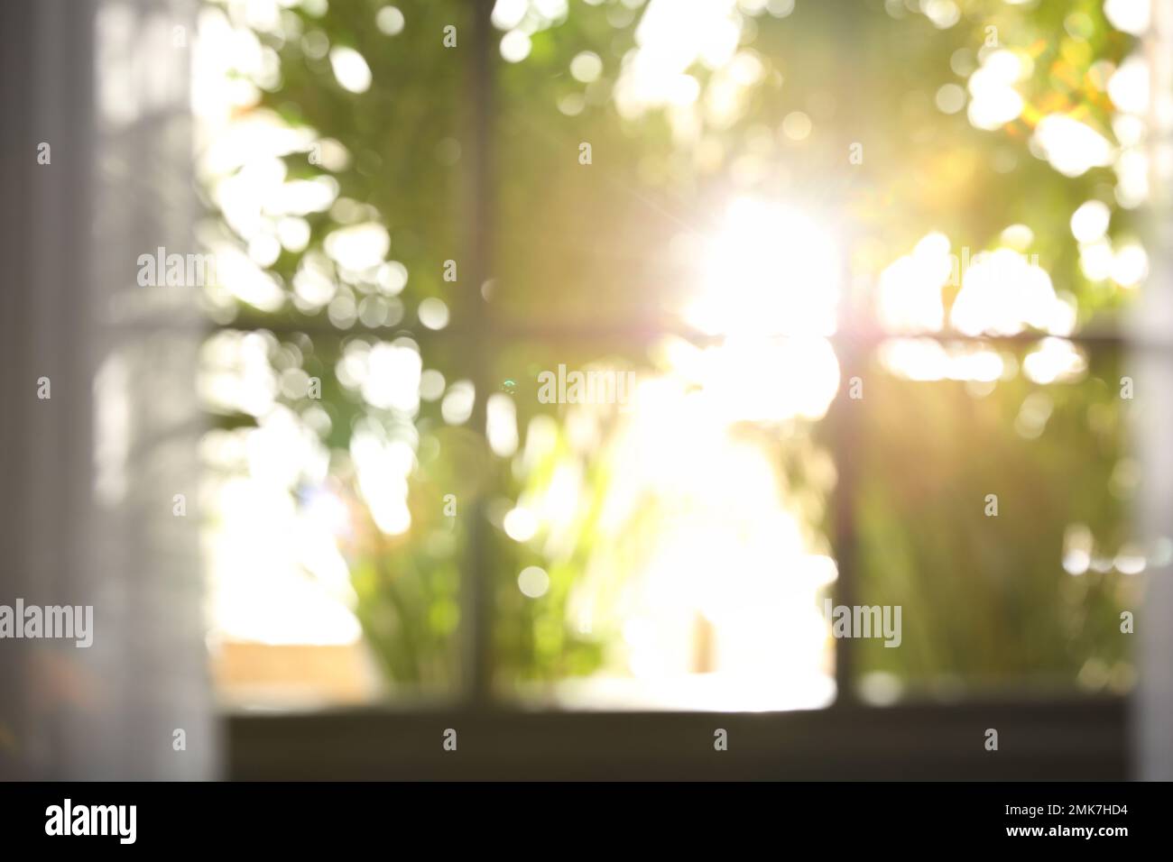 Blurred view through window on garden in morning Stock Photo - Alamy