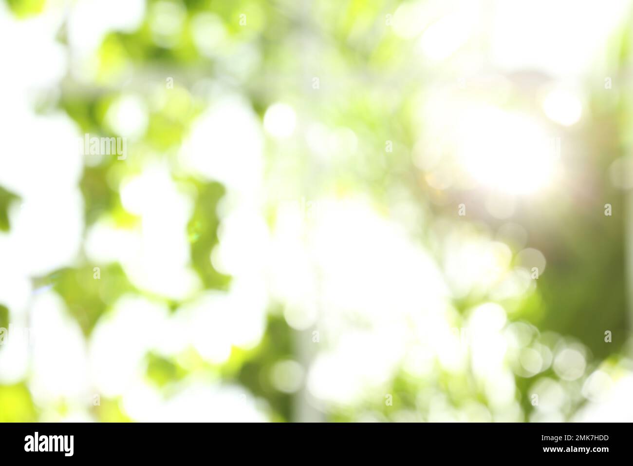 Blurred view through window on garden in morning Stock Photo - Alamy