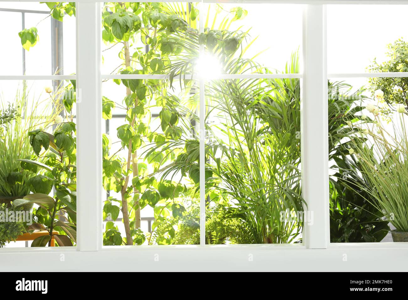 Beautiful view through window on garden in morning Stock Photo - Alamy