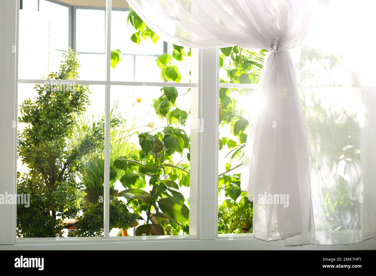 Beautiful view through window on garden in morning Stock Photo - Alamy