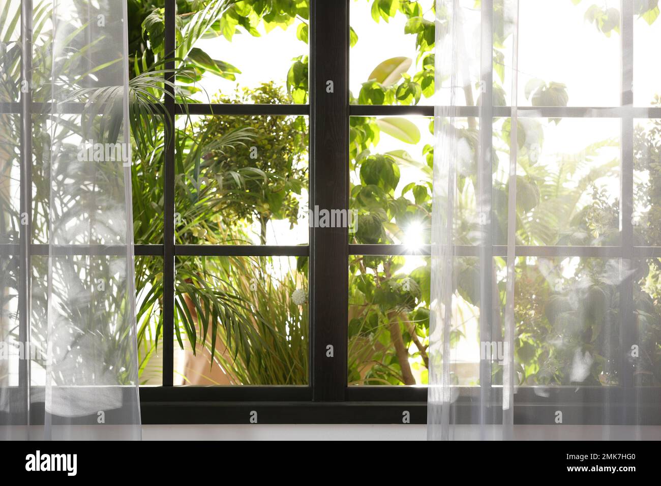 Beautiful view through window on garden in morning Stock Photo - Alamy