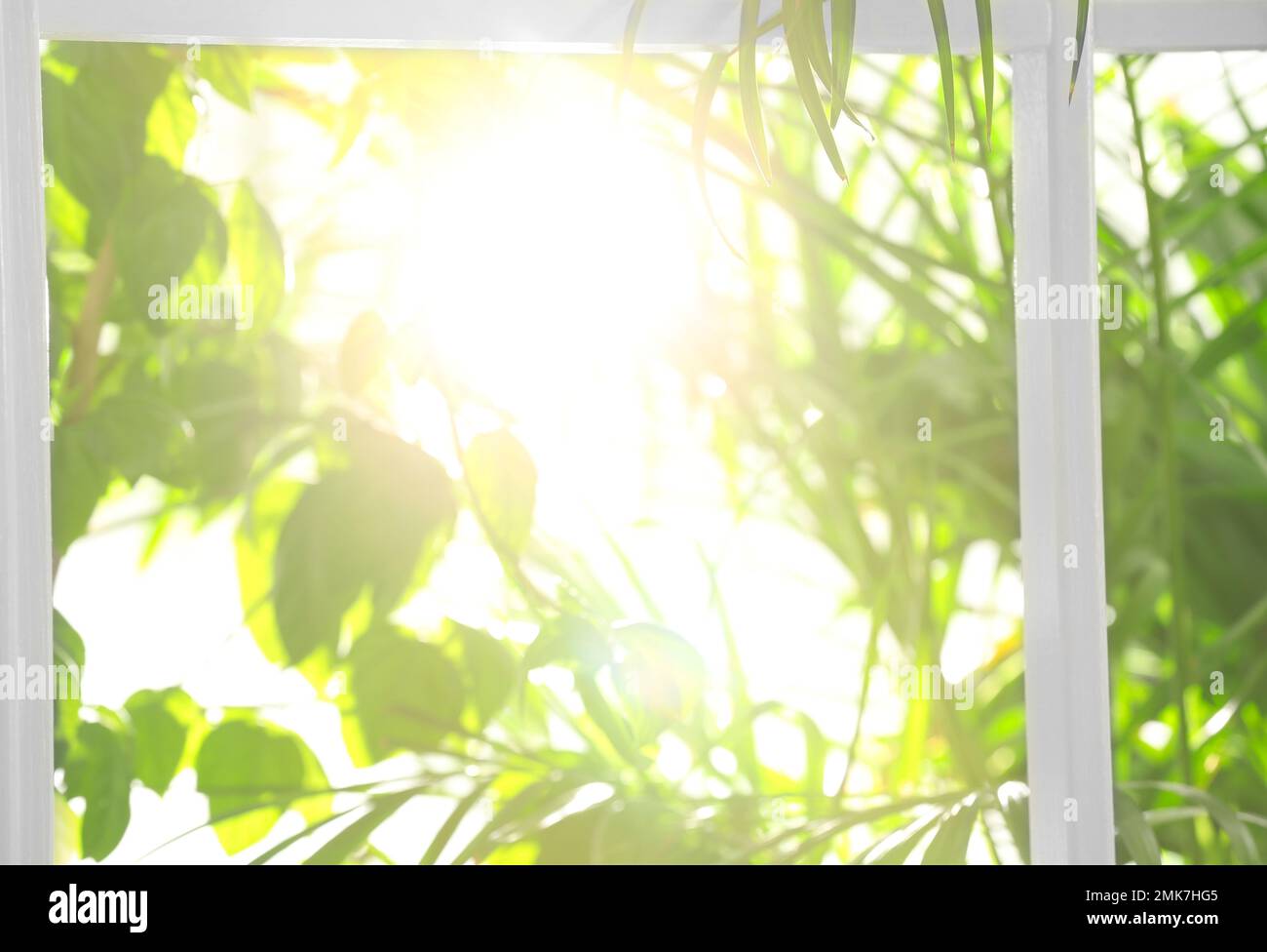 Beautiful view through window on garden in morning Stock Photo - Alamy
