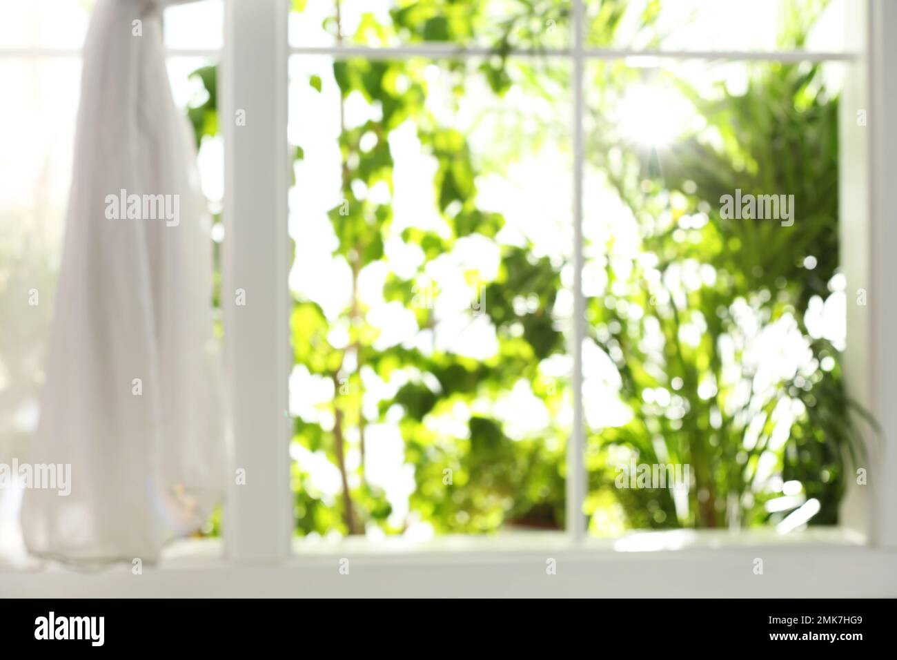 Blurred view through window on garden in morning Stock Photo - Alamy