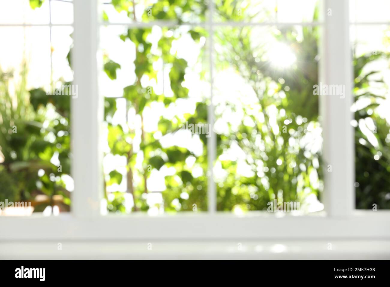 Blurred view through window on garden in morning Stock Photo - Alamy