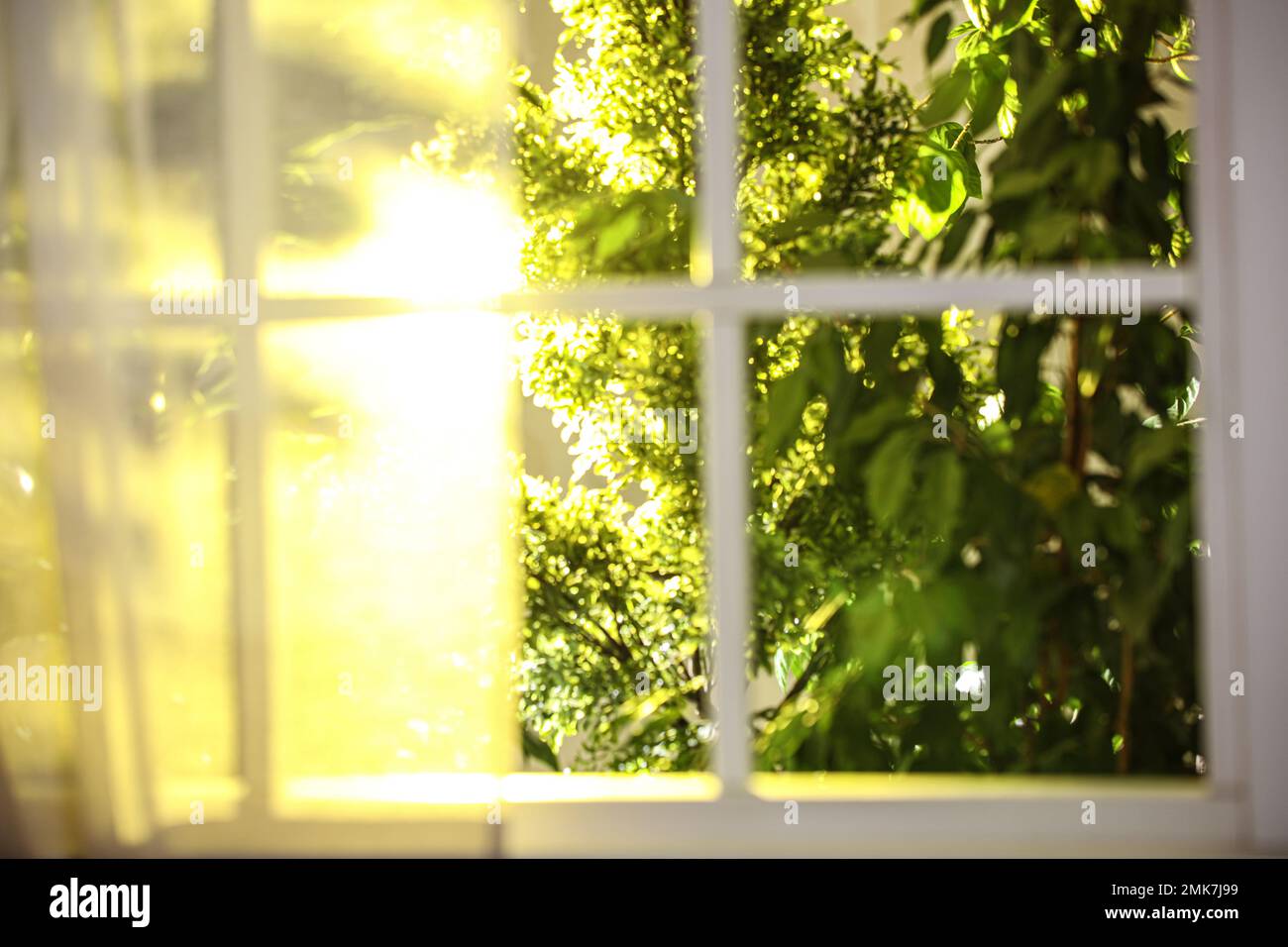 Beautiful view through window on garden in morning Stock Photo - Alamy