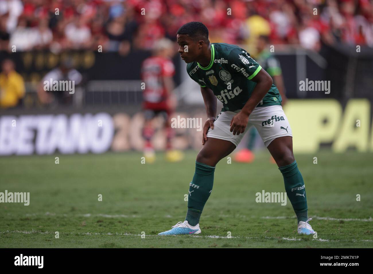DF - Brasilia - 01/28/2023 - SUPERCOPA 2023 FINAL, PALMEIRAS X FLAMENGO ...