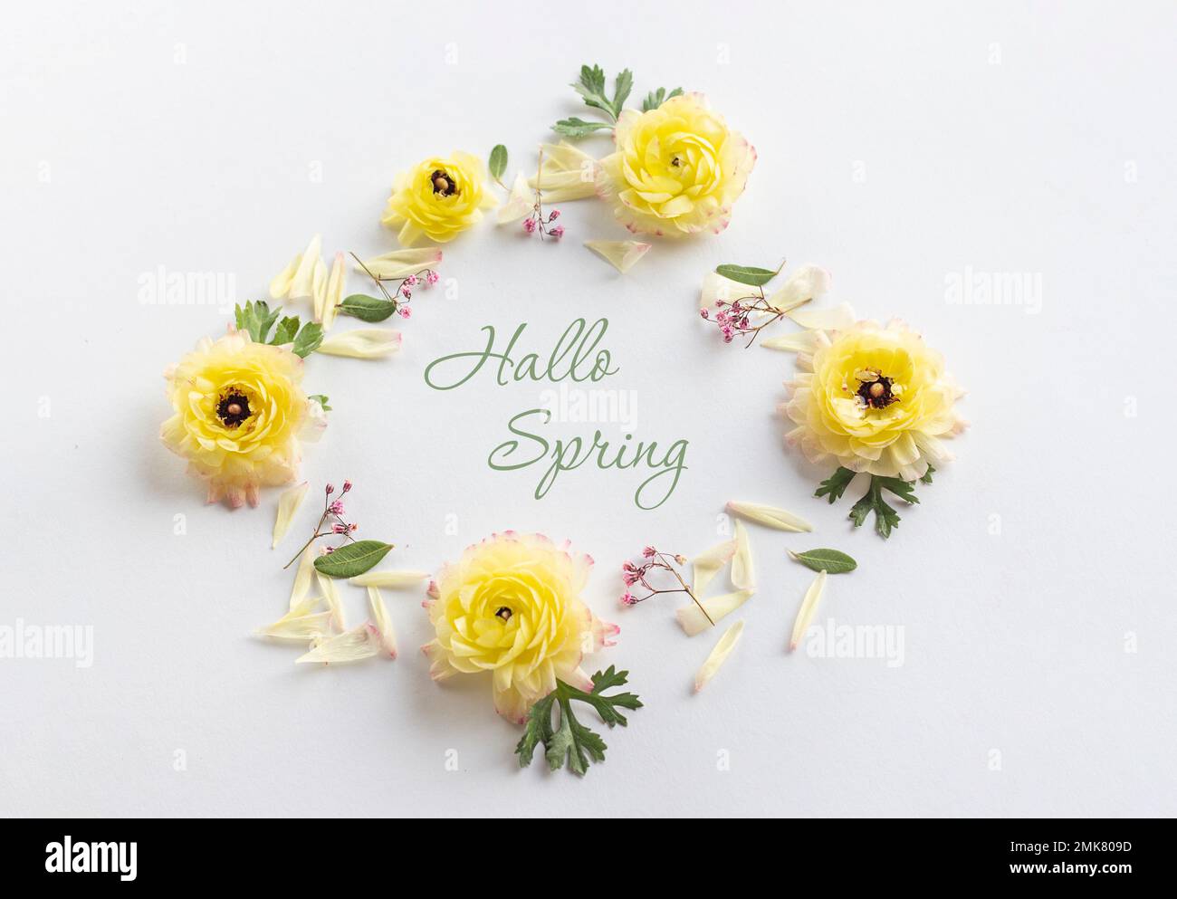 Spring background - spring composition of yellow flower and the ...