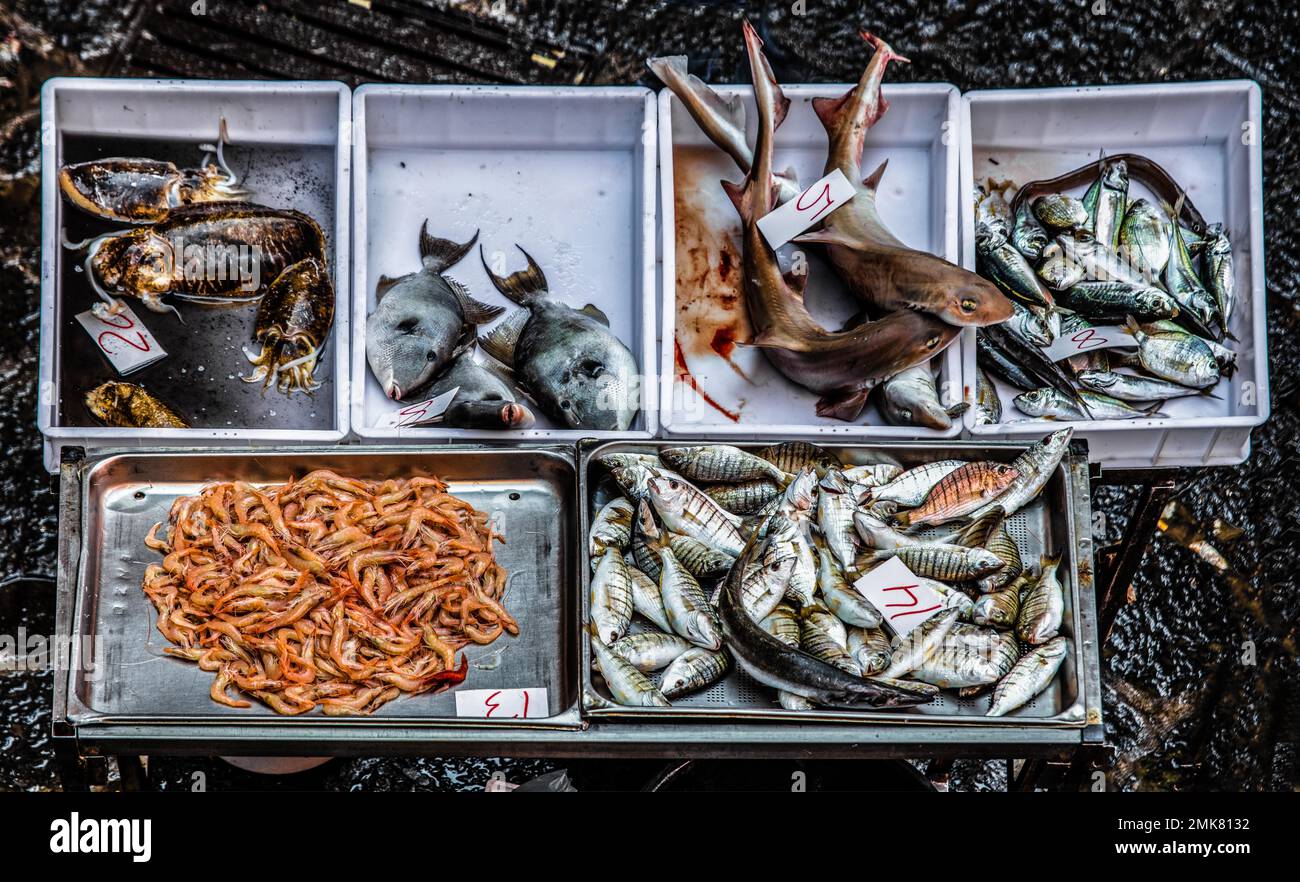 Historic fish market La pescheria with a cornucopia of colourful sea ...