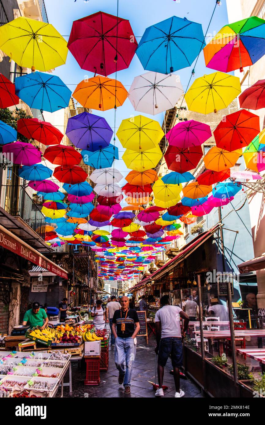 Coloured umbrellas as a roof at the historic fish market La pescheria ...