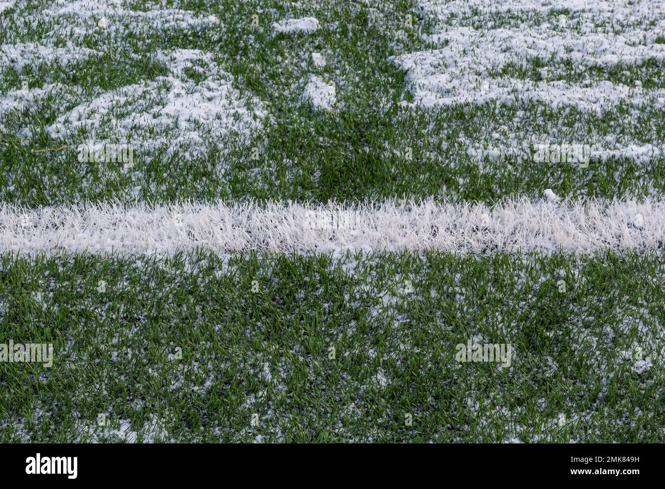The football field with artificial green grass is covered with a light ...