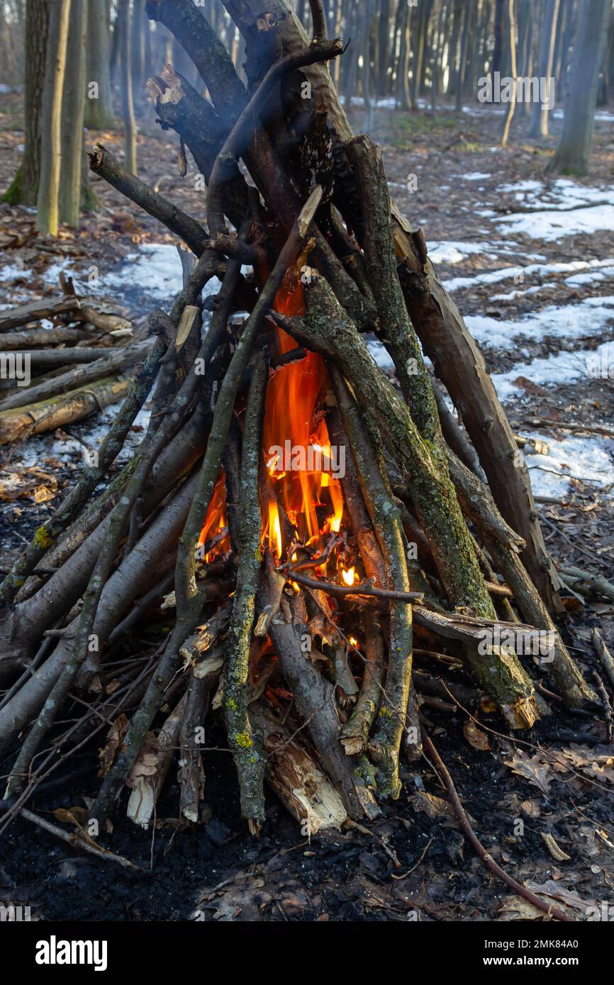 Campfire in the spring forest. Rest on the weekend. Danger of forest ...