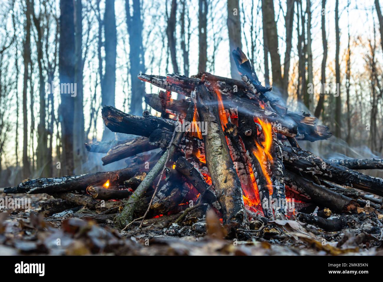 Campfire in the spring forest. Rest on the weekend. Danger of forest ...