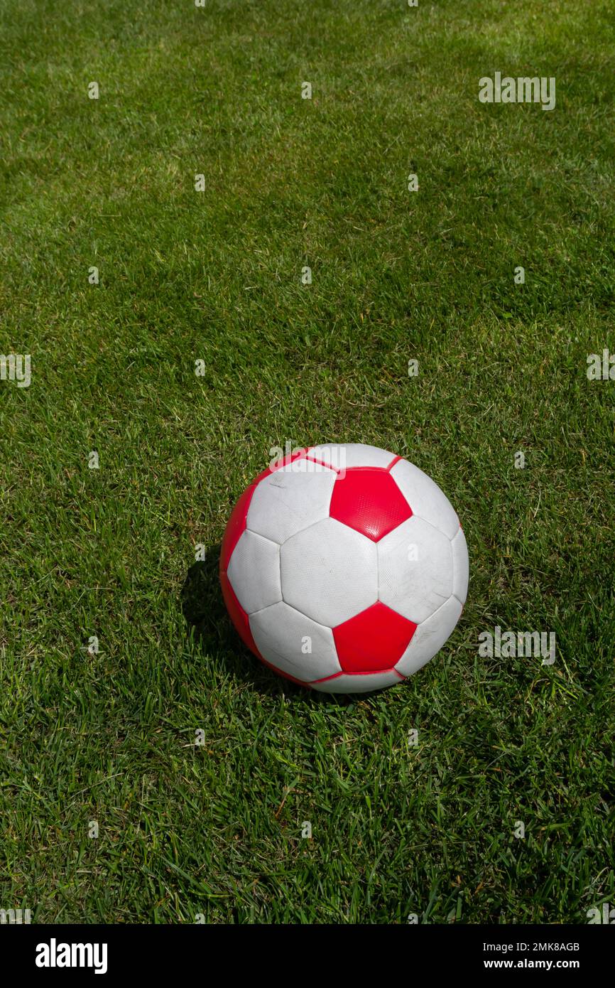 Soccer ball on green grass of football field with copy space Stock ...