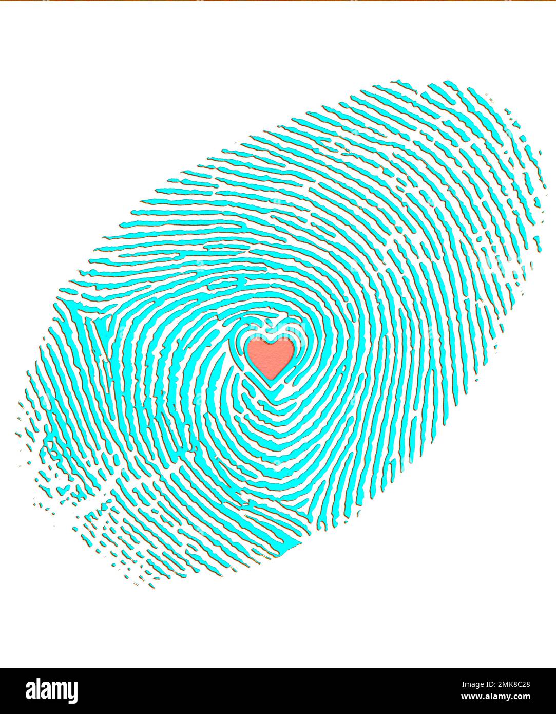 A fingerprint for identification includes a heart in the swirls of the ...