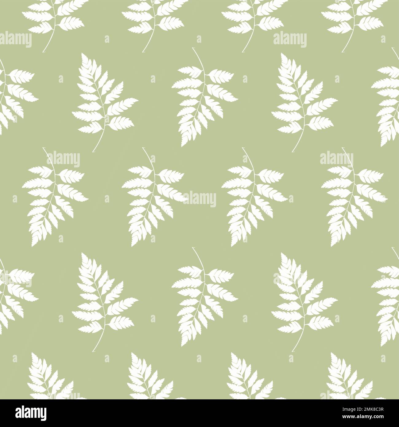 Simple Natural Fern Seamless Pattern. Vector Illustration EPS10 Stock Vector Image & Art - Alamy