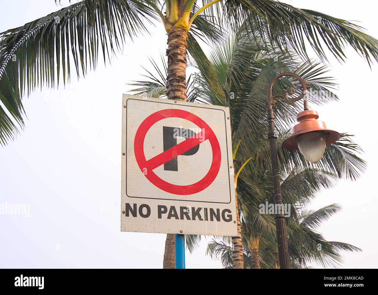No Parking sign board on a blue pole. Evening sky and coconut trees in ...