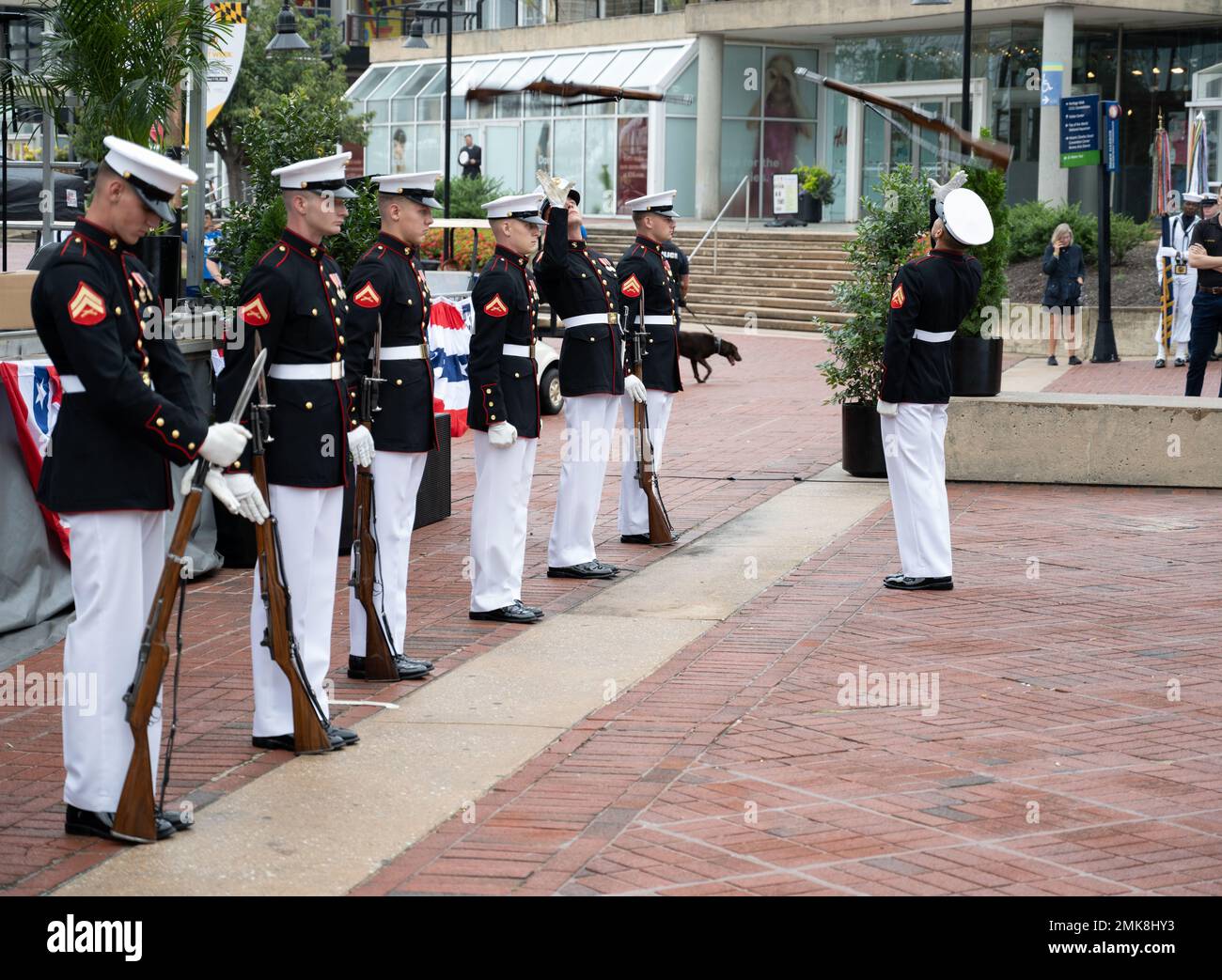 U.S. Marines with the Silent Drill Platoon perform during the opening ...