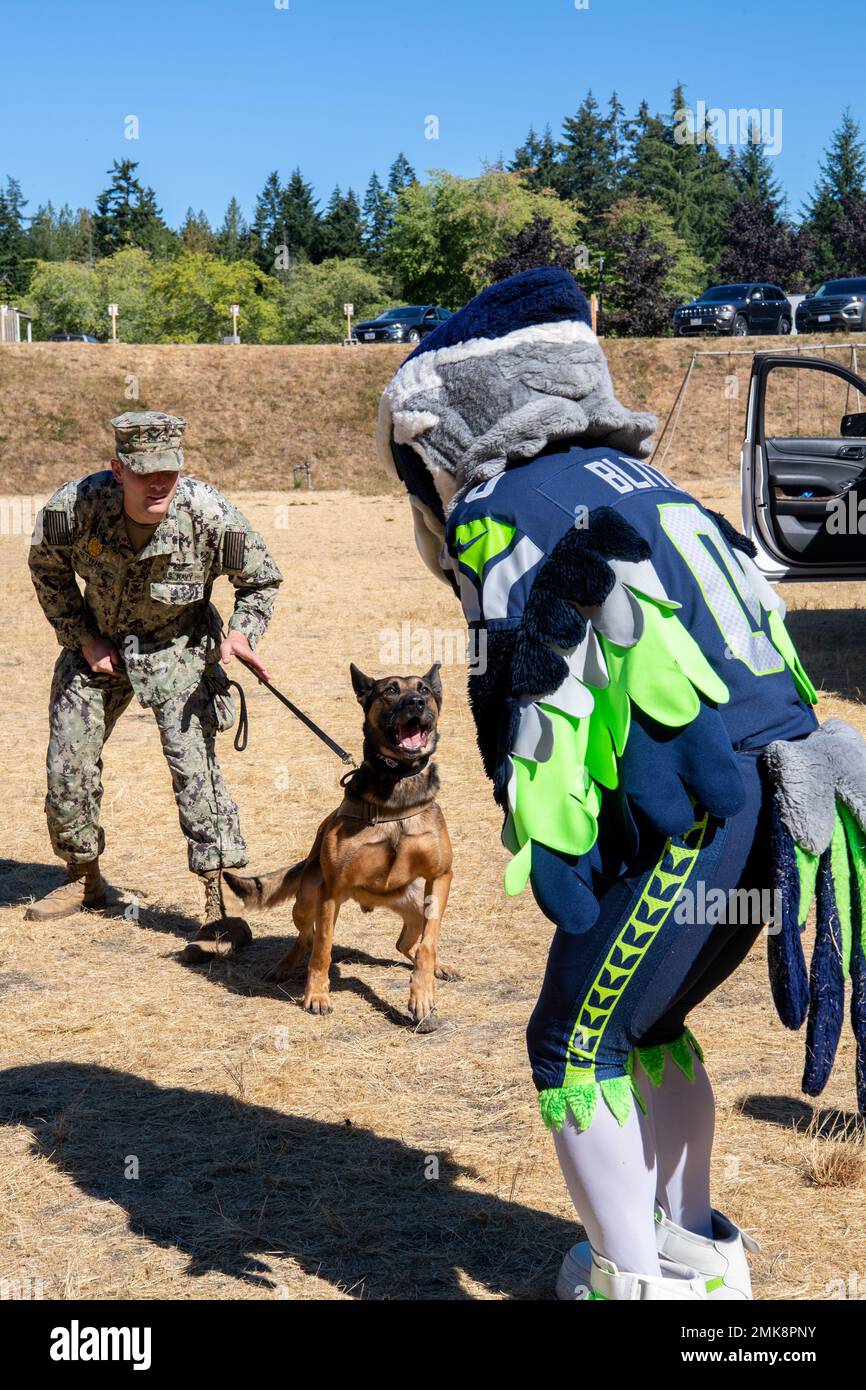 Seattle Seahawks mascot Blitz checks out a military working dog with U ...