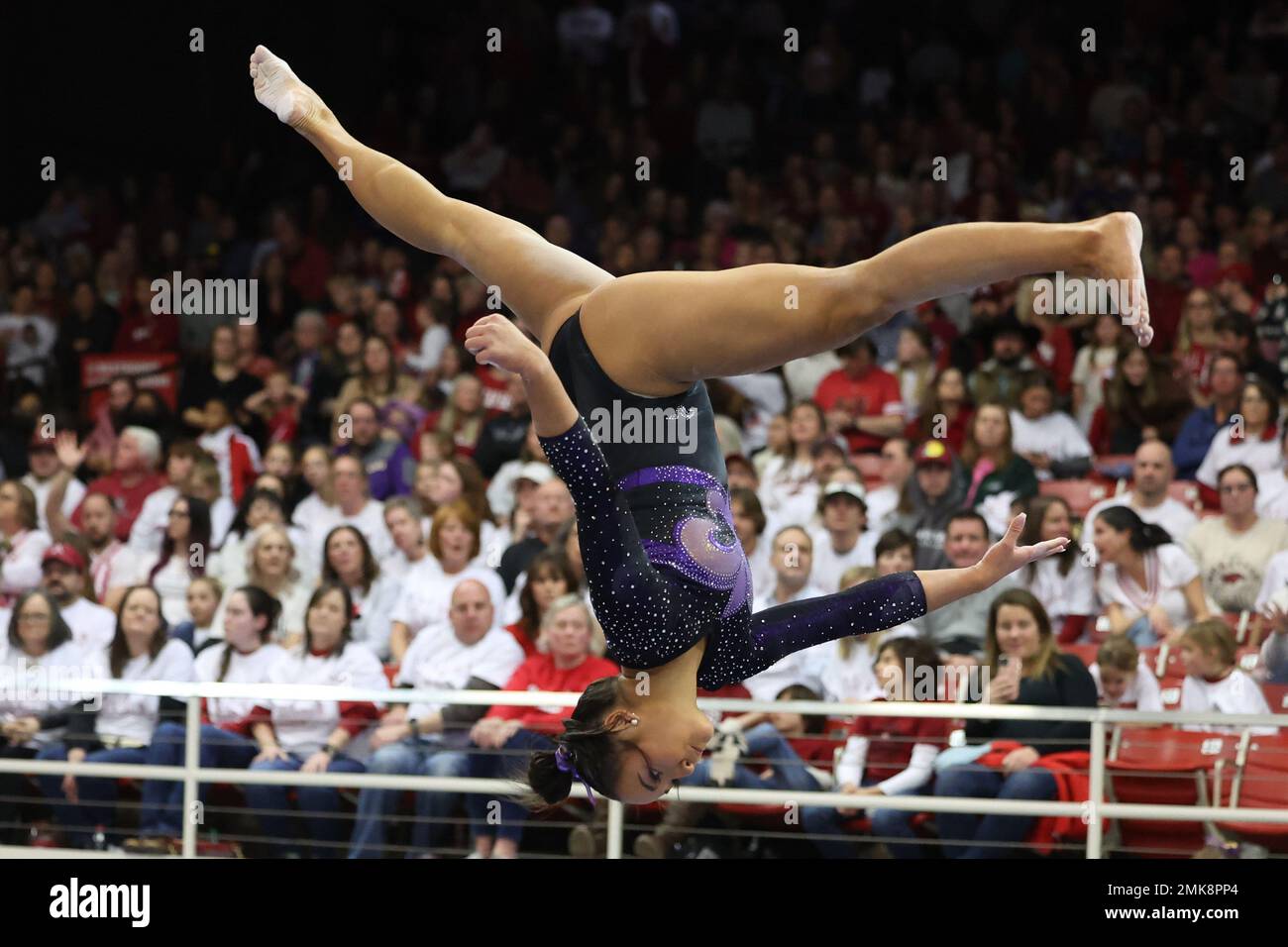 Aleah finnegan hi-res stock photography and images - Alamy