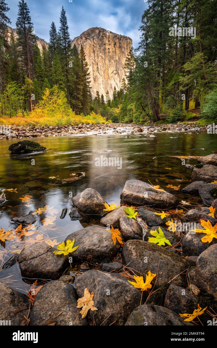 The Iconic El Capitan along the Merced River in Autumn Stock Photo - Alamy