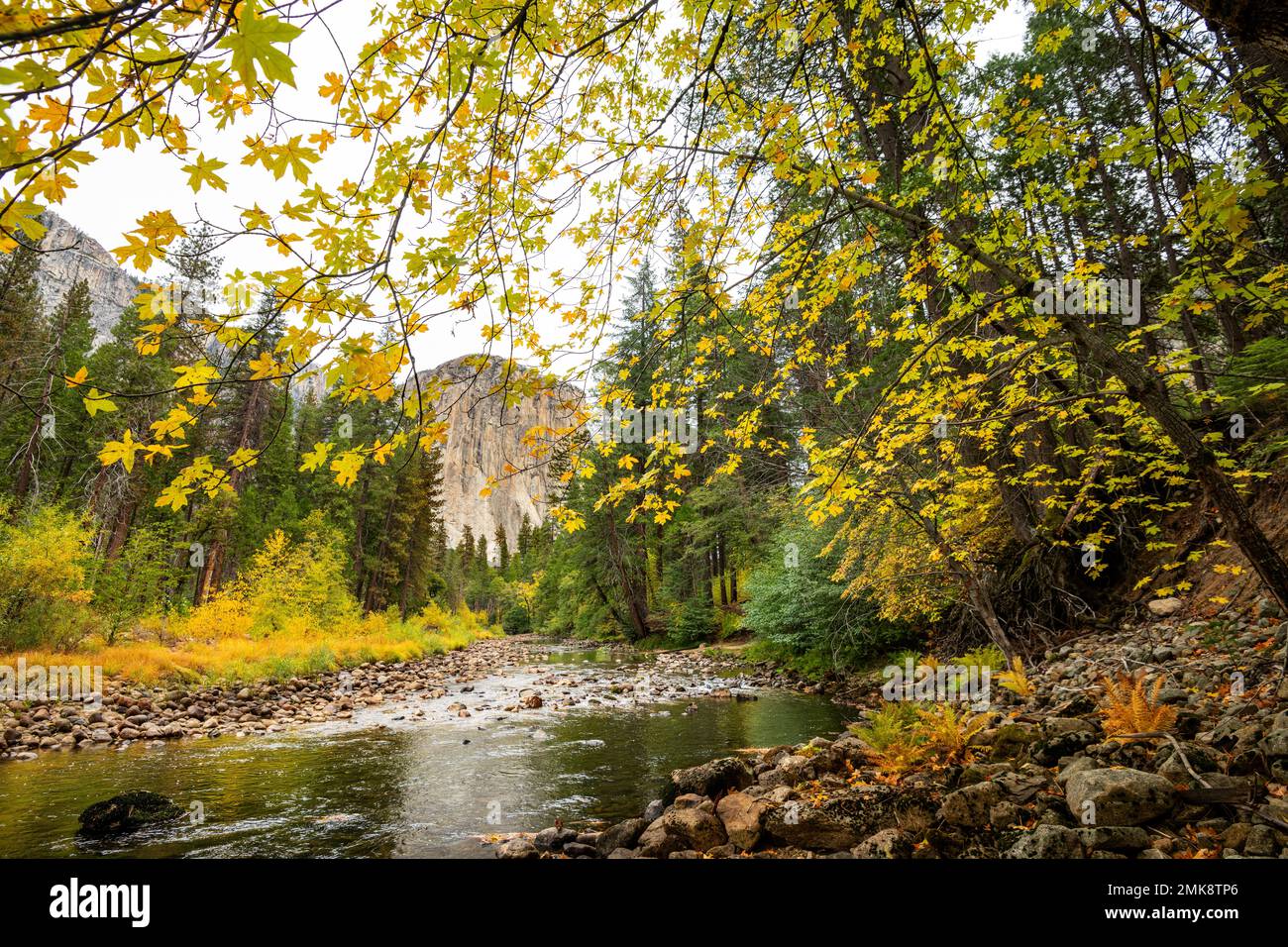 The Iconic El Capitan along the Merced River in Autumn Stock Photo - Alamy