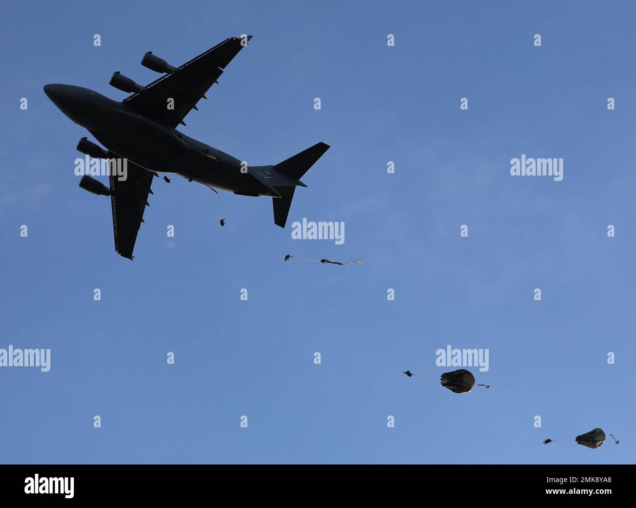 Sky Soldiers from the 2-503 Battle Co., 173d Airborne exit a C-17 ...