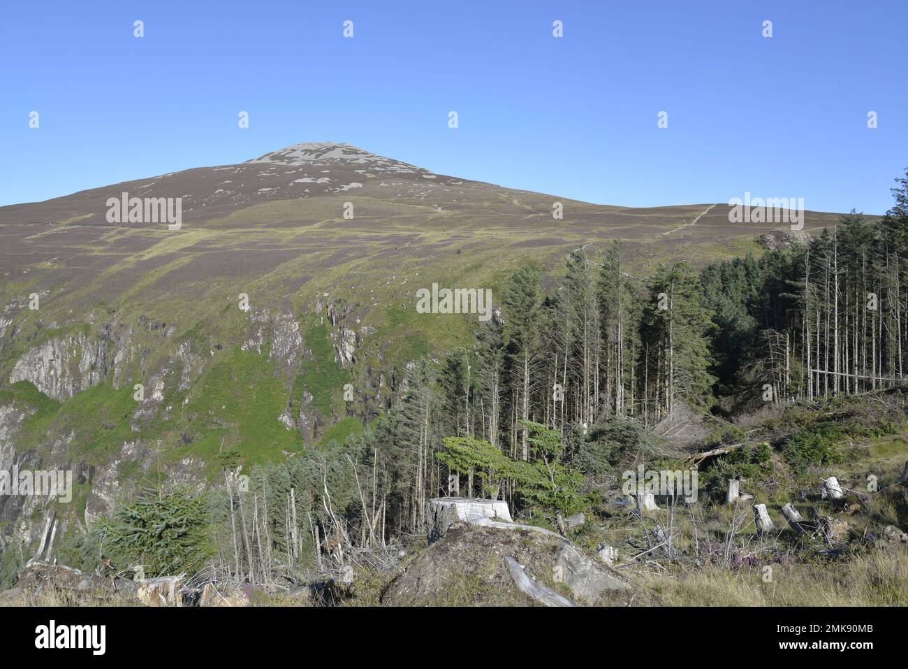 Garn Ganol, Yr Eifl, Wales Stock Photo - Alamy