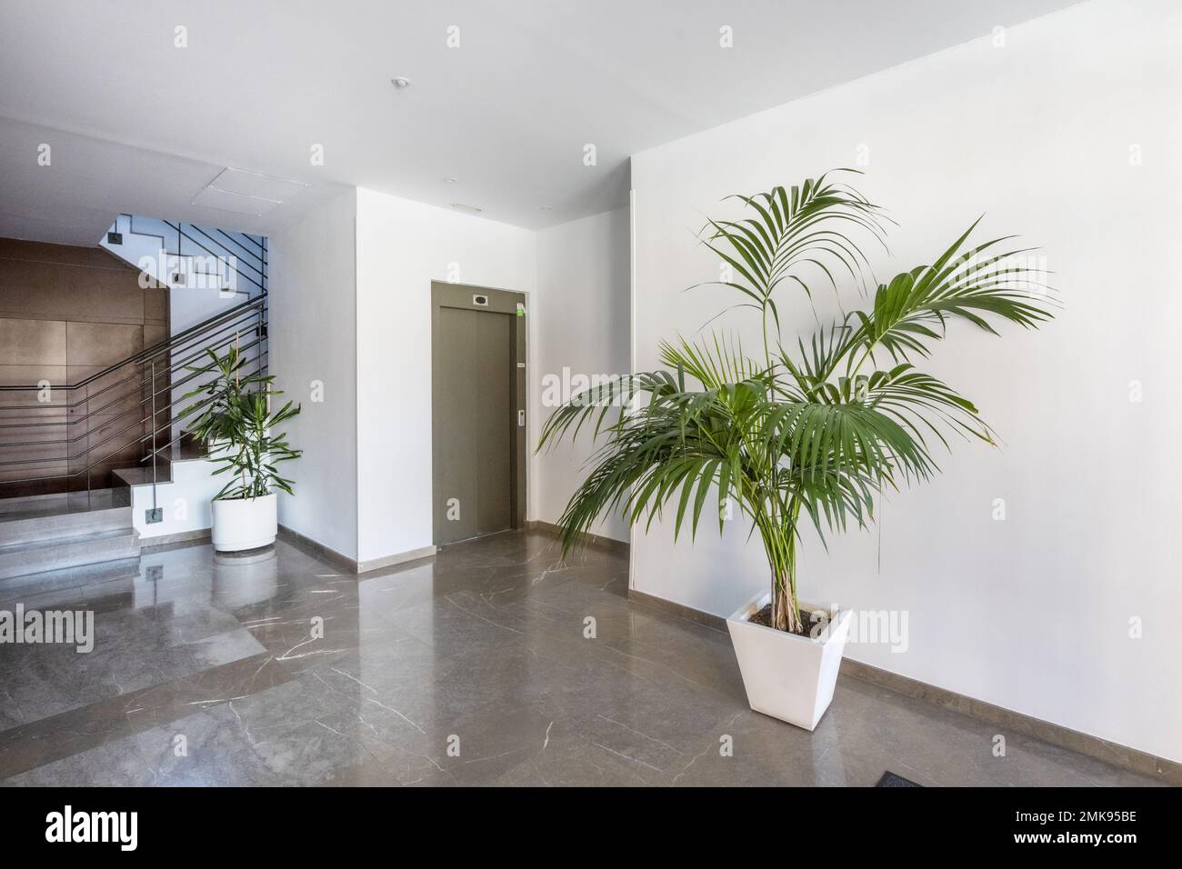 Portal of a residential building with greyish marble, a potted palm and ...