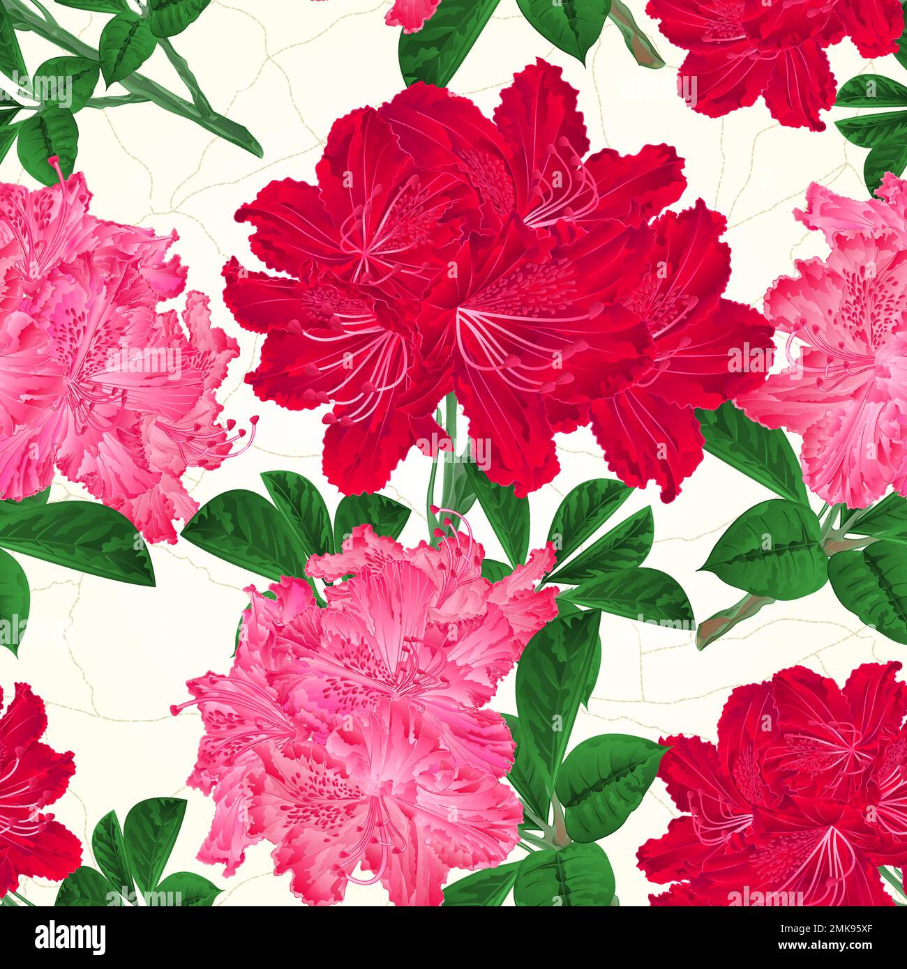 Rhododendrons in garden Stock Vector Images - Alamy