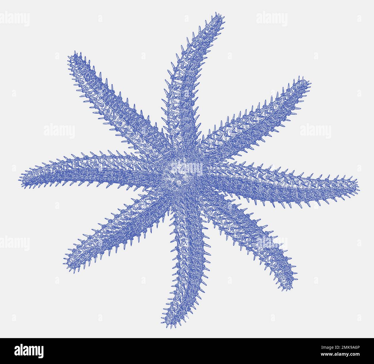Eight armed starfish Stock Vector Images - Alamy