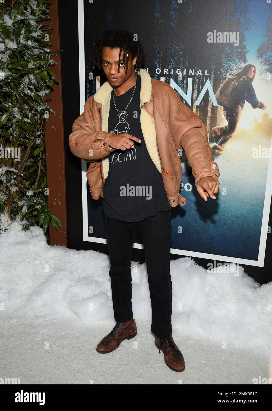 Henry Hunter Hall attends the premiere of Amazon Prime Video's "Hannah ...