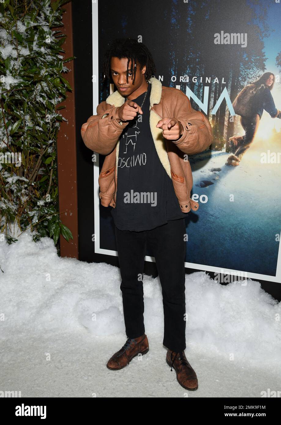 Henry Hunter Hall attends the premiere of Amazon Prime Video's "Hannah ...