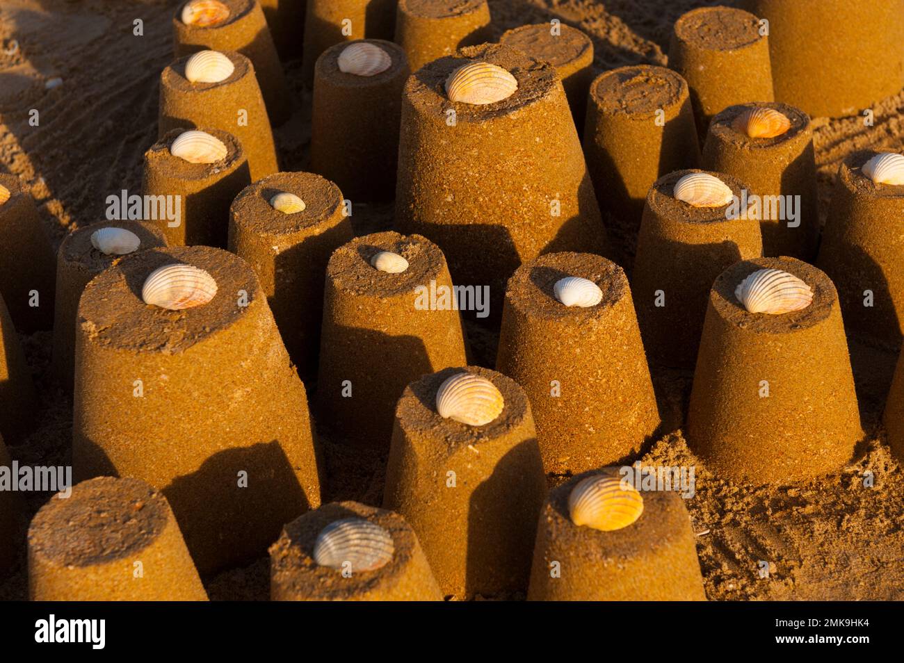 France, Calvados (14), Houlgate, sand castles with shells on the beach ...