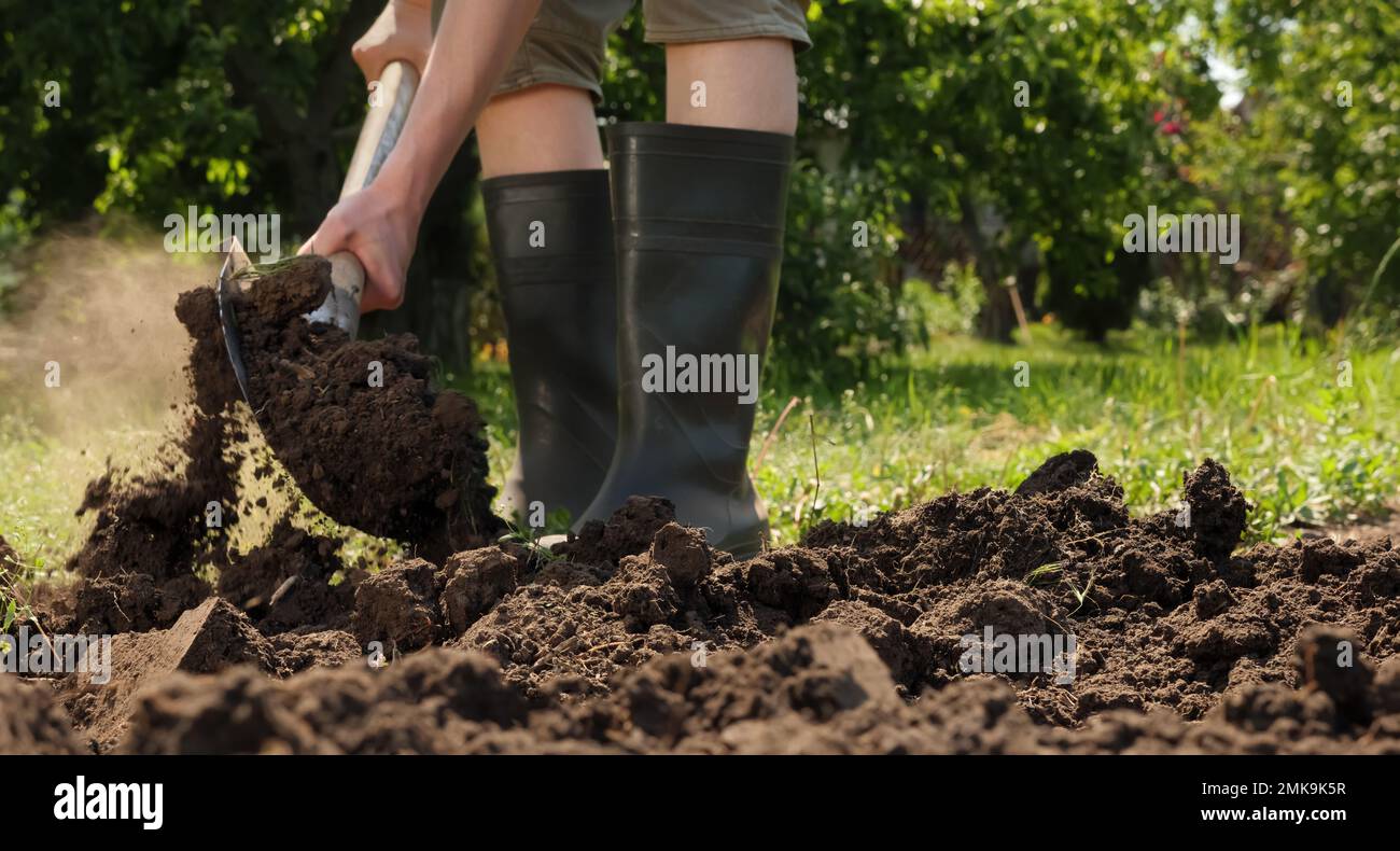 Gardening. Tillage. Dig. Planting. Man shoveling dirt shovel in ground ...