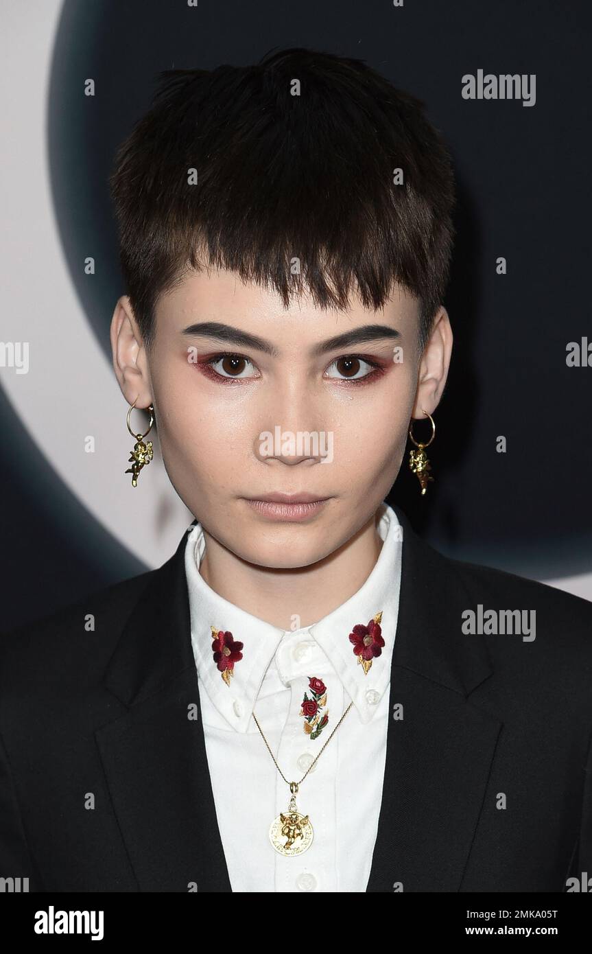 Ian Alexander attends the LA premiere of "The OA" Season 2 at the Los ...