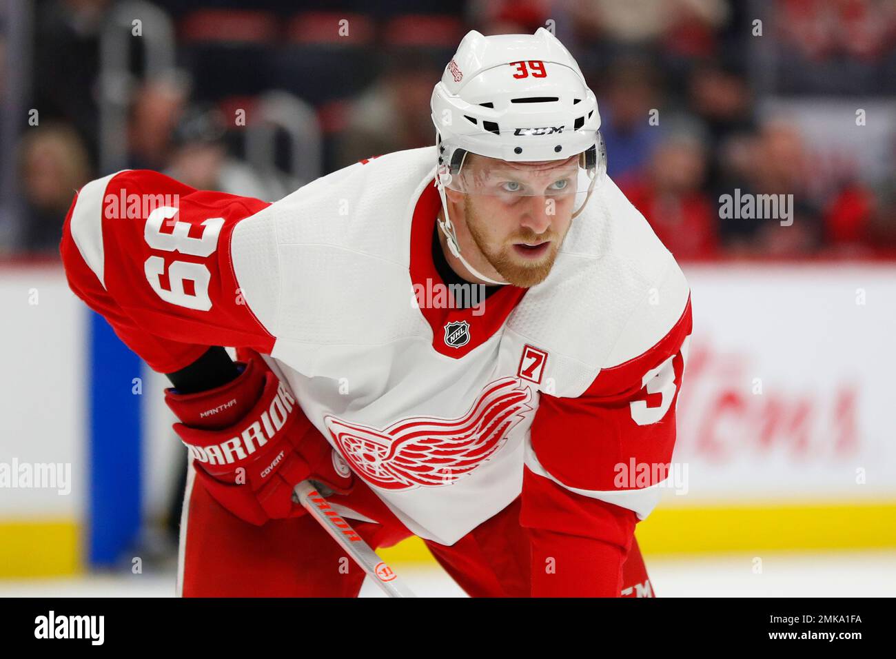 Anthony Mantha Red Wings