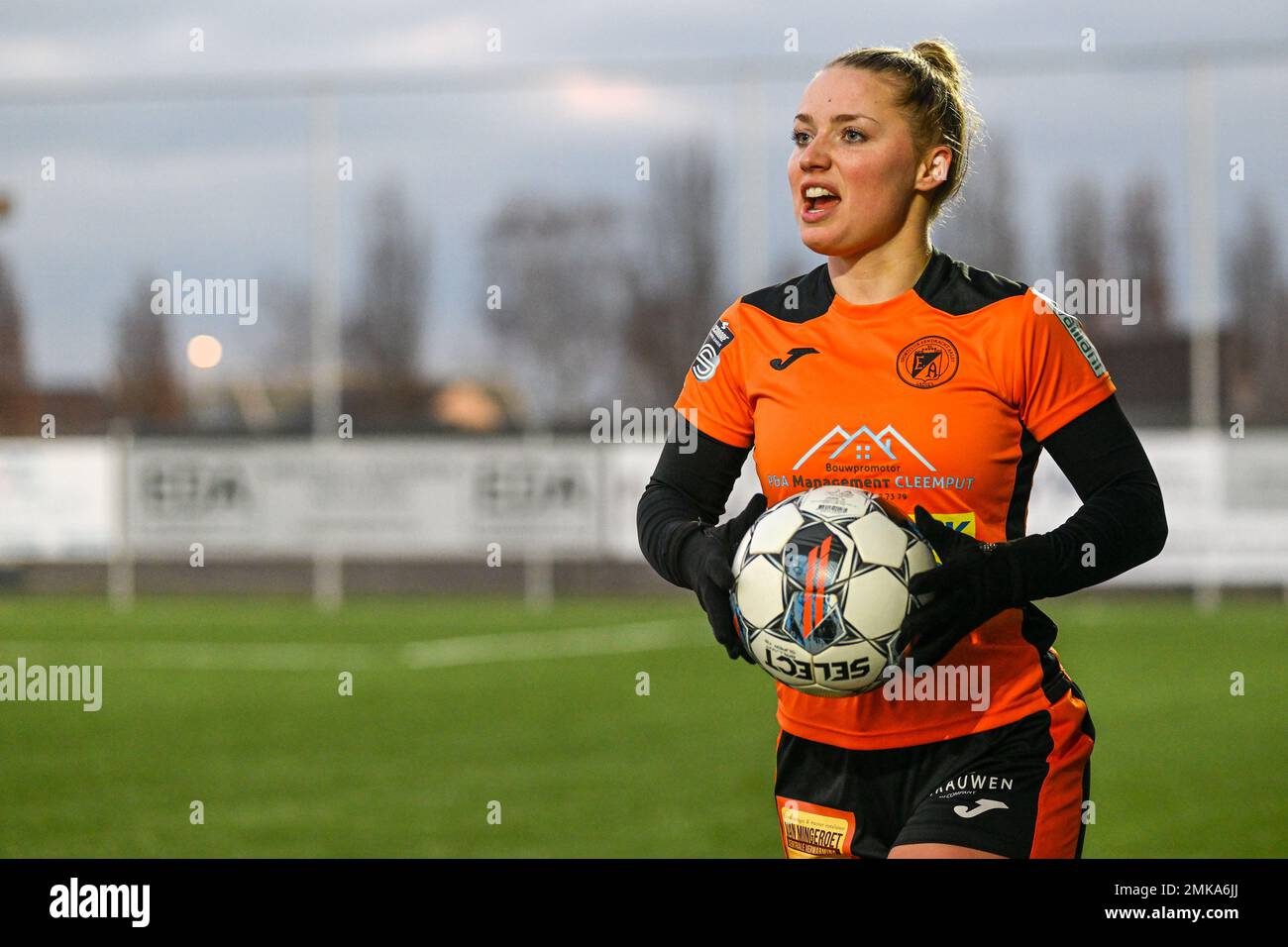 Aster club hi-res stock photography and images - Alamy