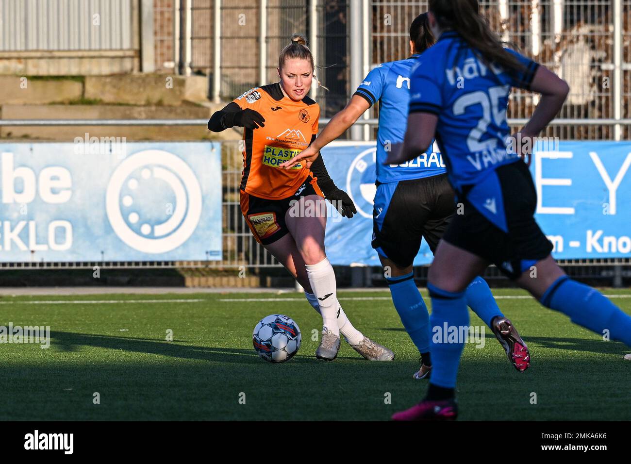 Aster club hi-res stock photography and images - Alamy