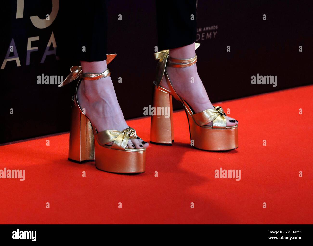 Malaysia actress Fish Liew poses on the red carpet of the Asian Film ...