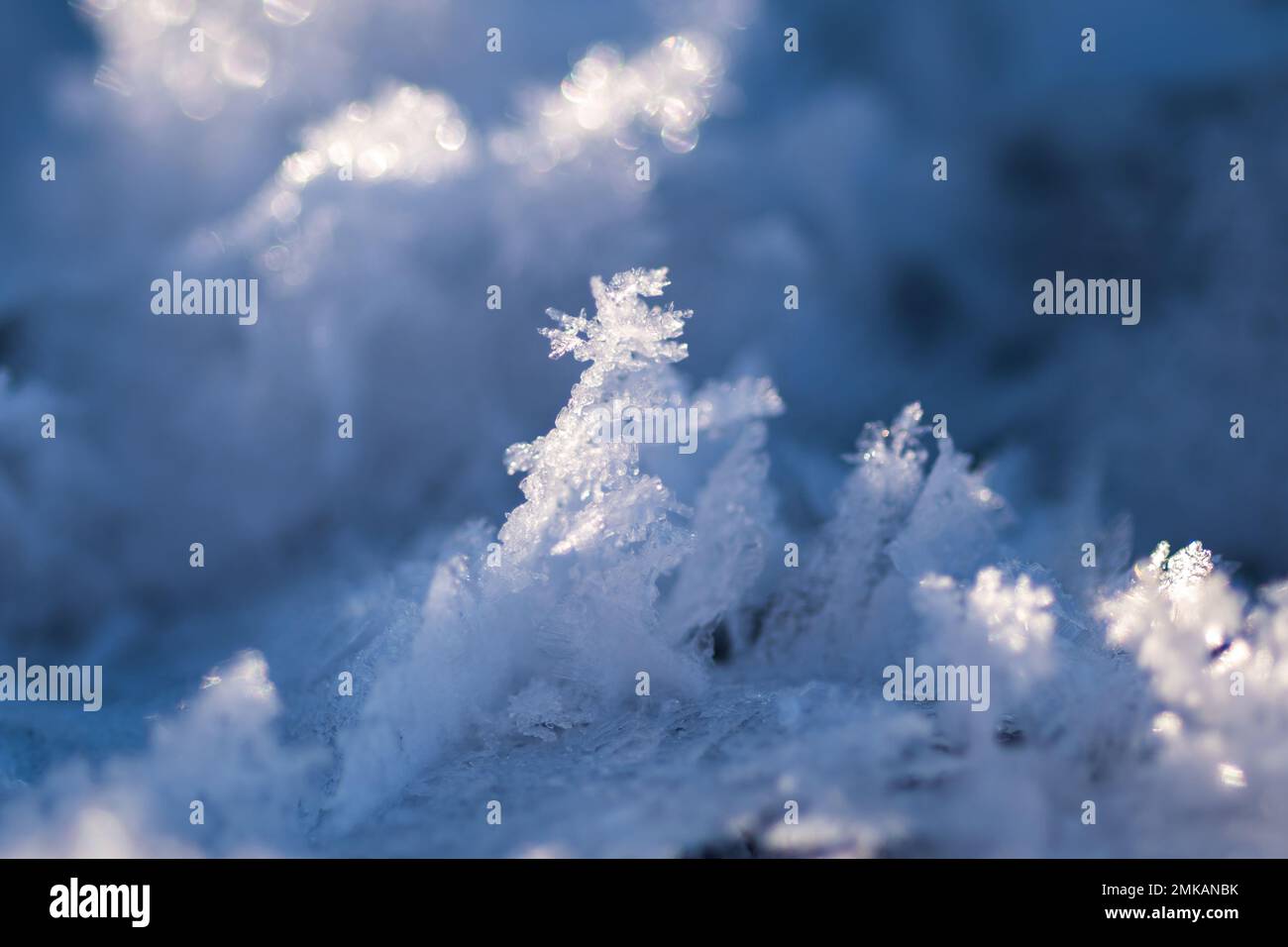Beautiful ice crystals during frosts. Macro shot of hoarfrost patterns ...