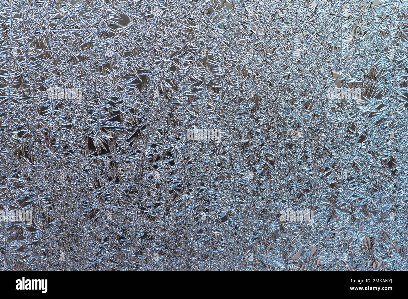 Natural background, texture of frosty patterns. Beautiful ice crystals ...