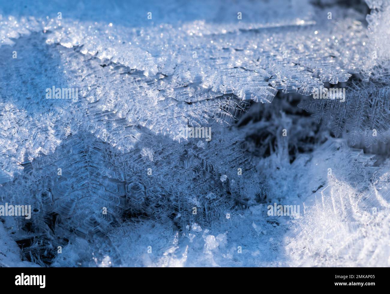 Beautiful ice crystals during frosts. Macro shot of hoarfrost patterns ...