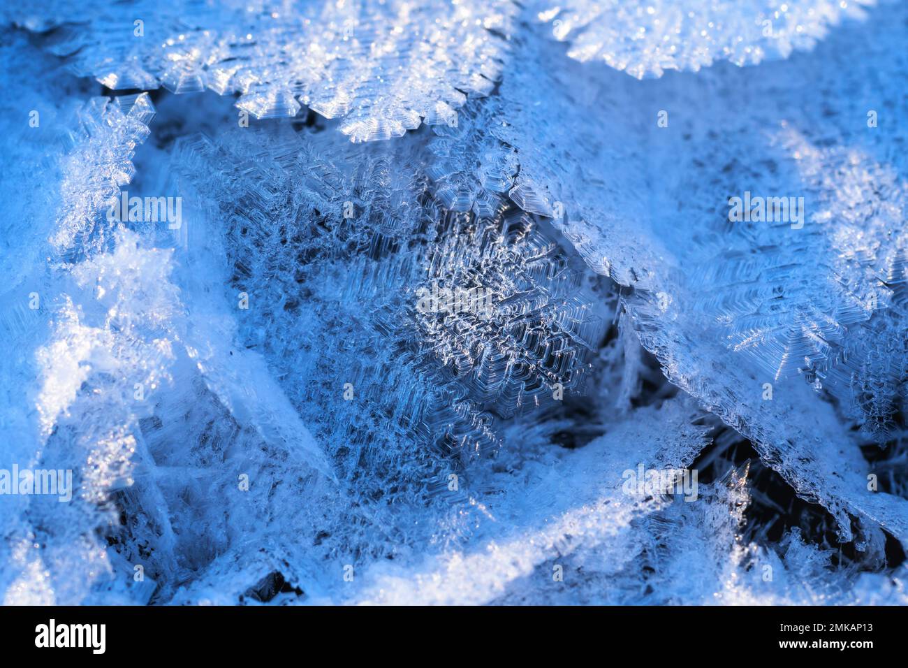 Beautiful ice crystals during frosts. Macro shot of hoarfrost patterns ...
