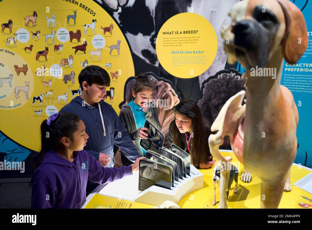 In this Tuesday, March 12, 2019 photo students from the Theodore ...