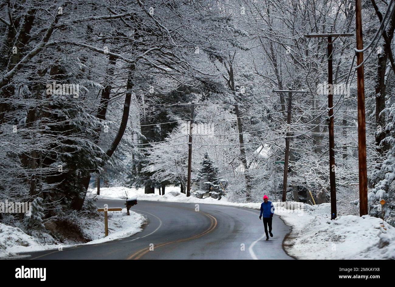 Cliff Rosen runs beneath a canopy of trees coated with fresh snow ...
