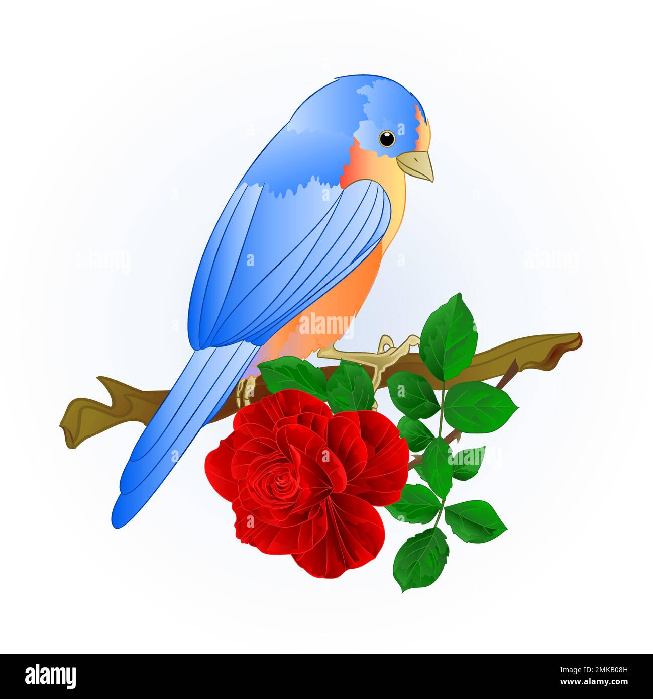 Small songbirdon Bluebird thrushand red rose spring background vintage ...
