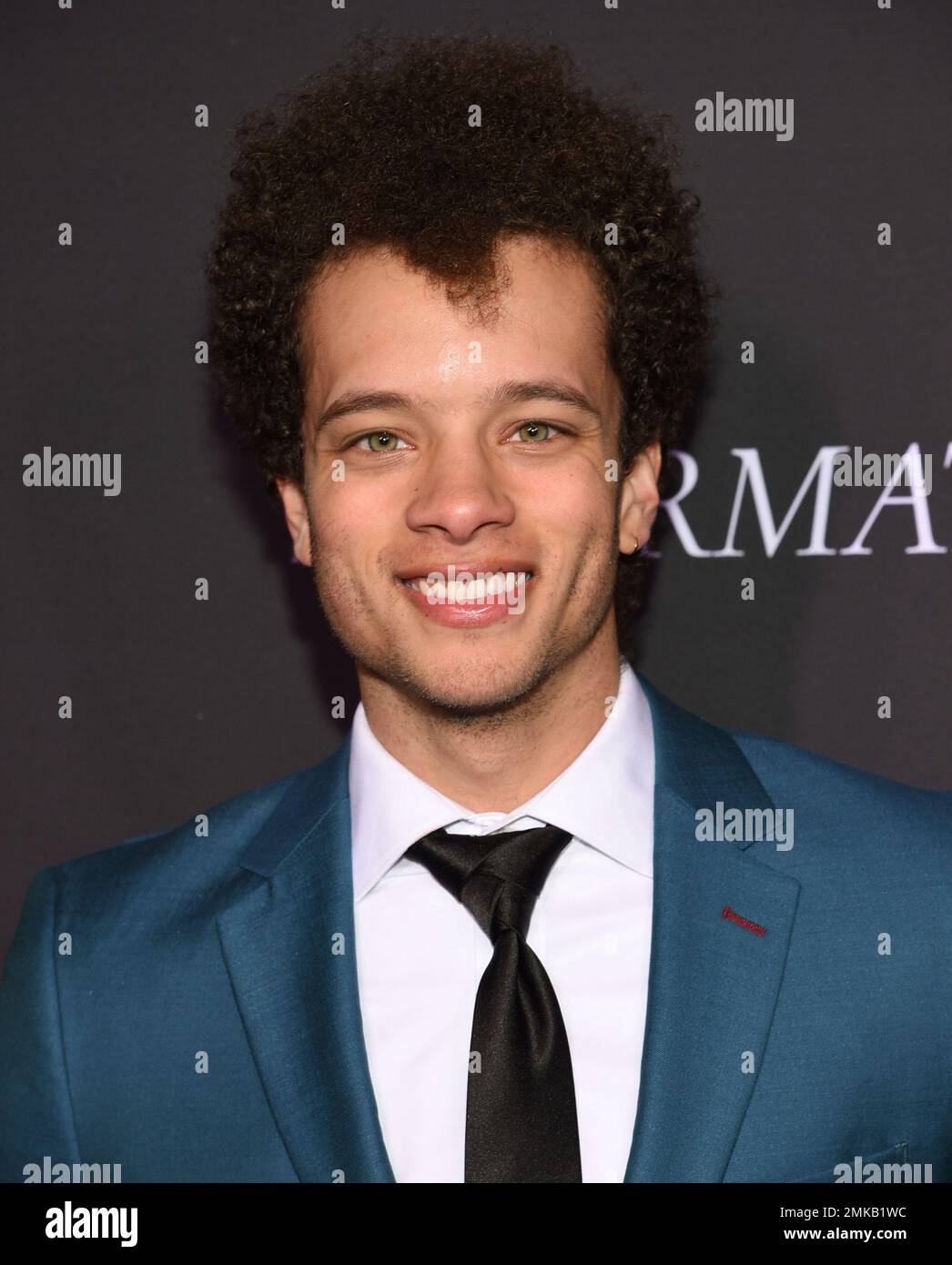 Damon J. Gillespie attends a special screening of Fox Searchlight ...