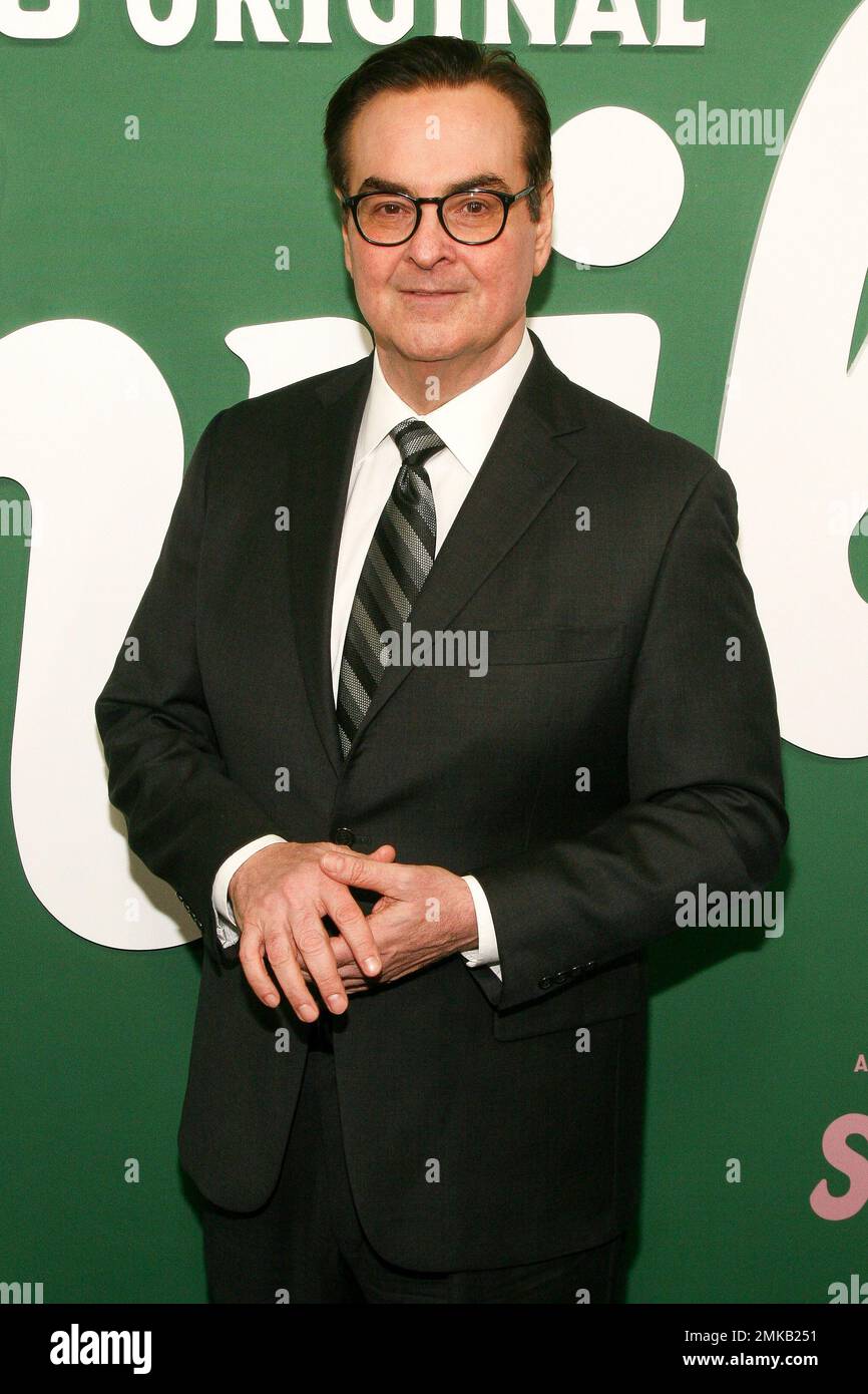 Steve Higgins attends the premiere of Hulu's "Shrill" at the Walter ...